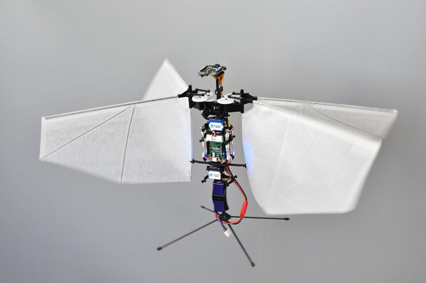 Flapper Dronesのドローン「Flapper Nimble+」、生物からインスピレーションを得て開発 – DRONE